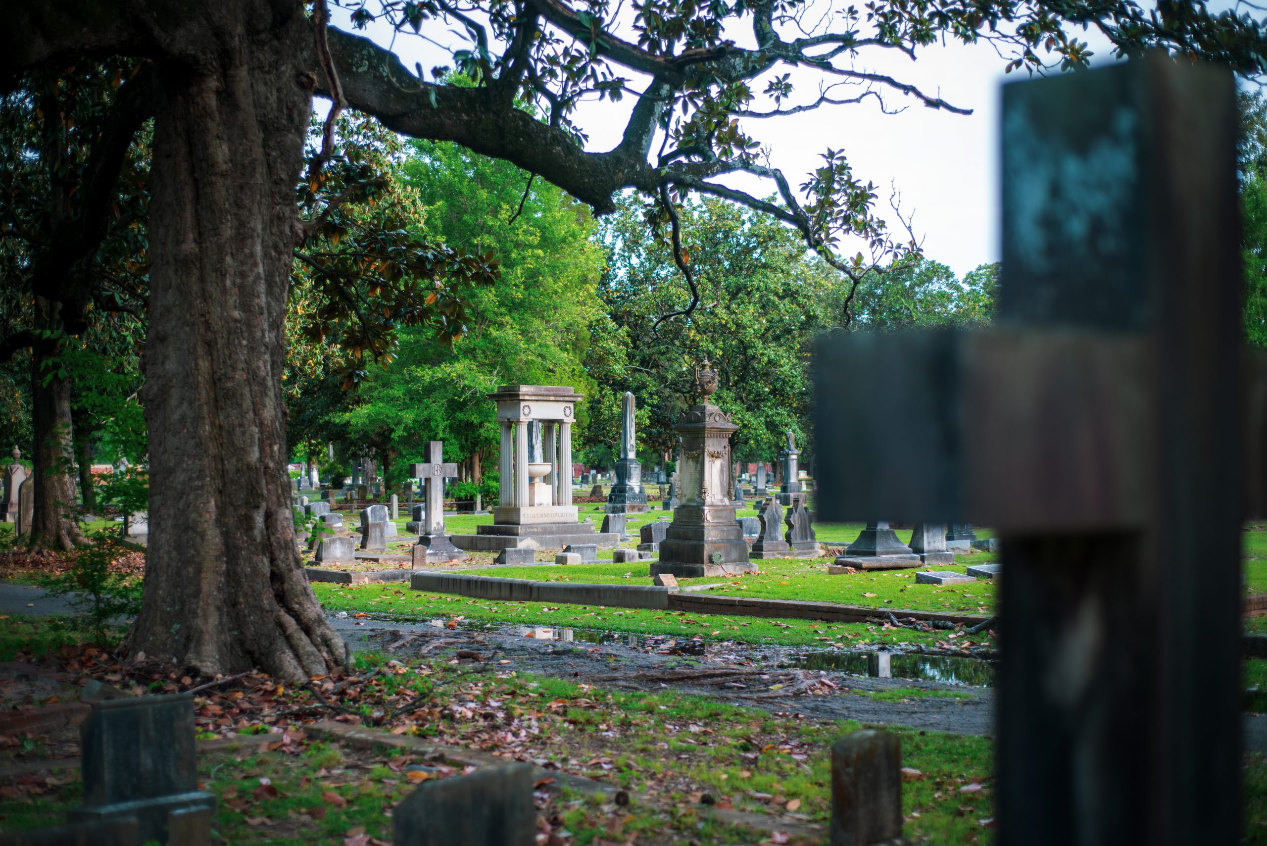 Photojournalism: Magnolia Cemetery's History - The Augusta Press