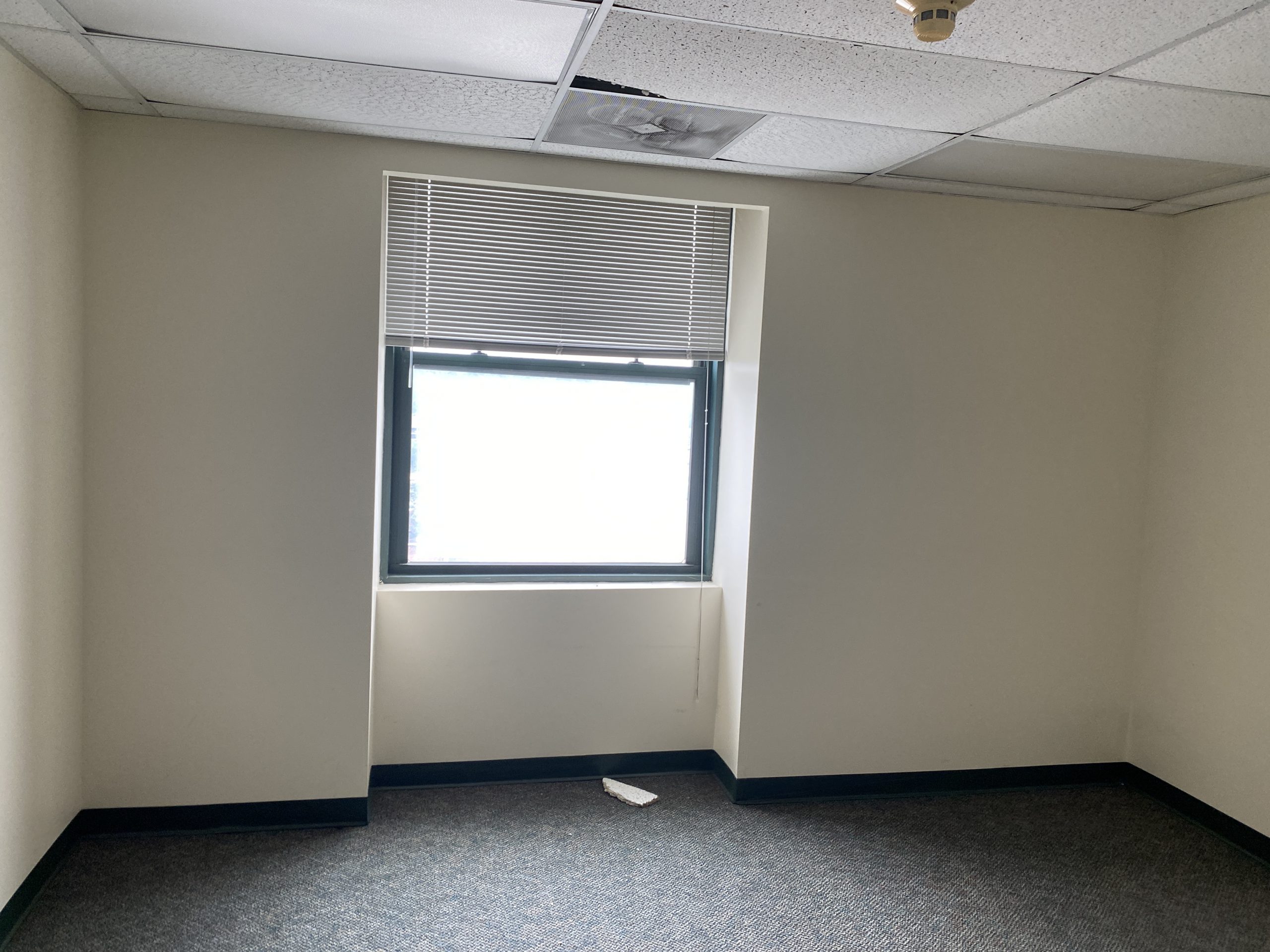 Lamar Building: Past, Present and Future - The Augusta Press
