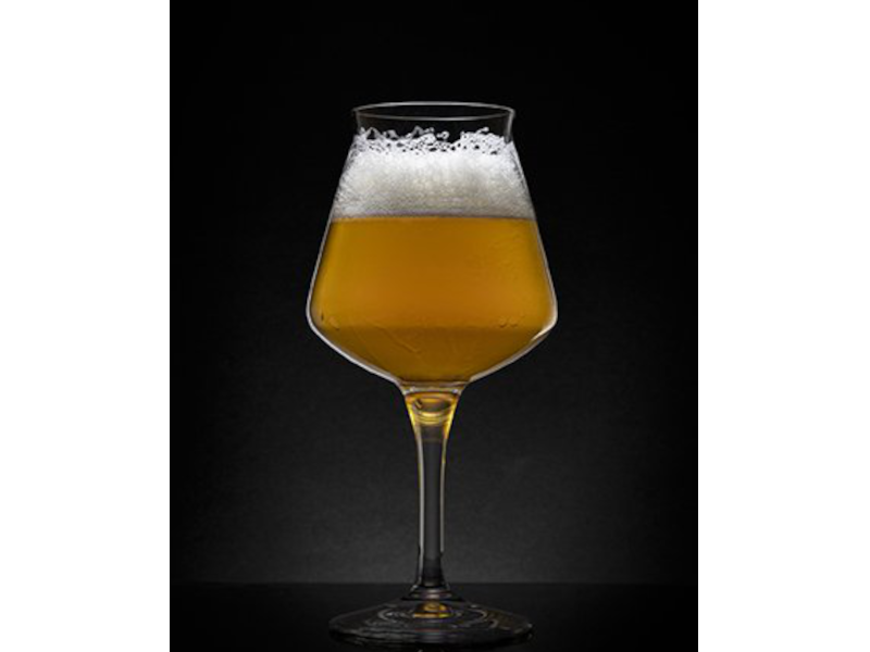 Beer 101: Know Your Brew - The Augusta Press