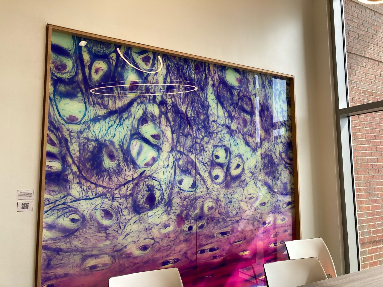 Augusta University Unveils New Science and Mathematics Building - The ...