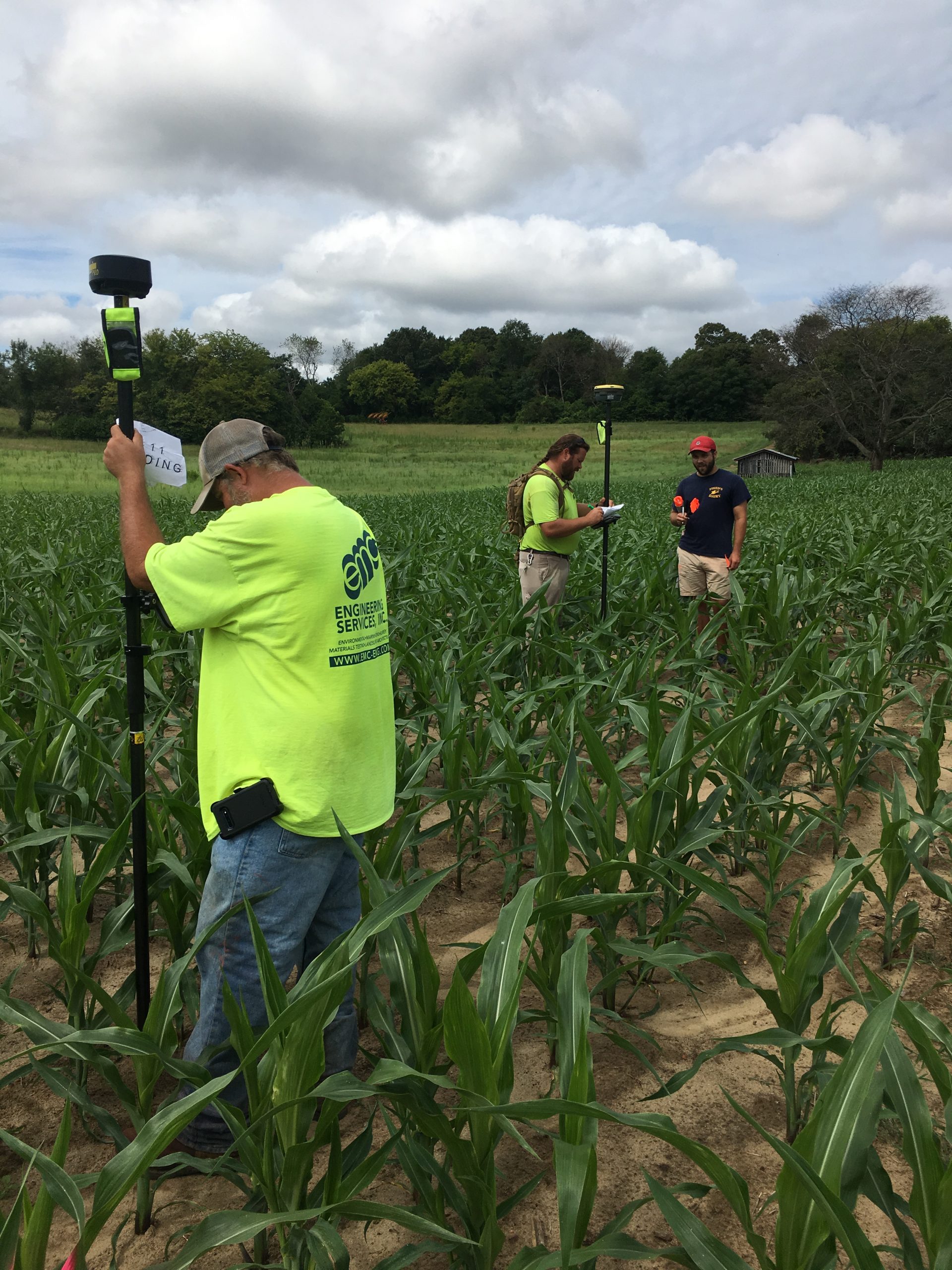 Steed's Dairy Farm Offers Corn Maze and More - The Augusta Press