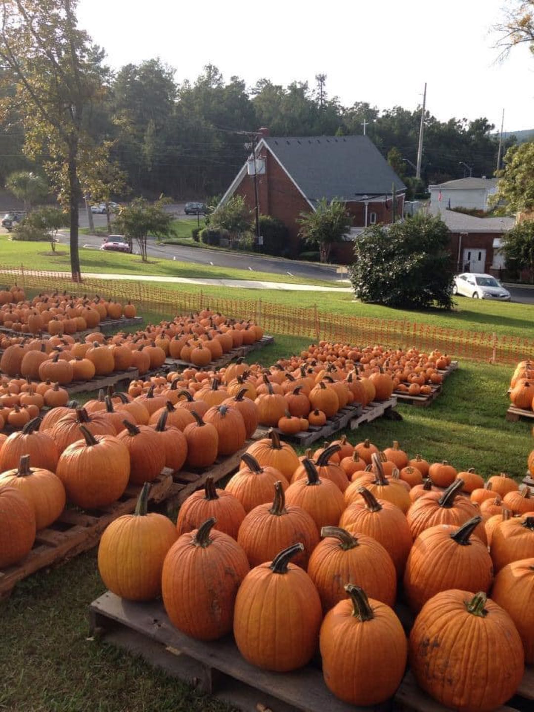 Pumpkin Patches Return to Two Local Churches - The Augusta Press