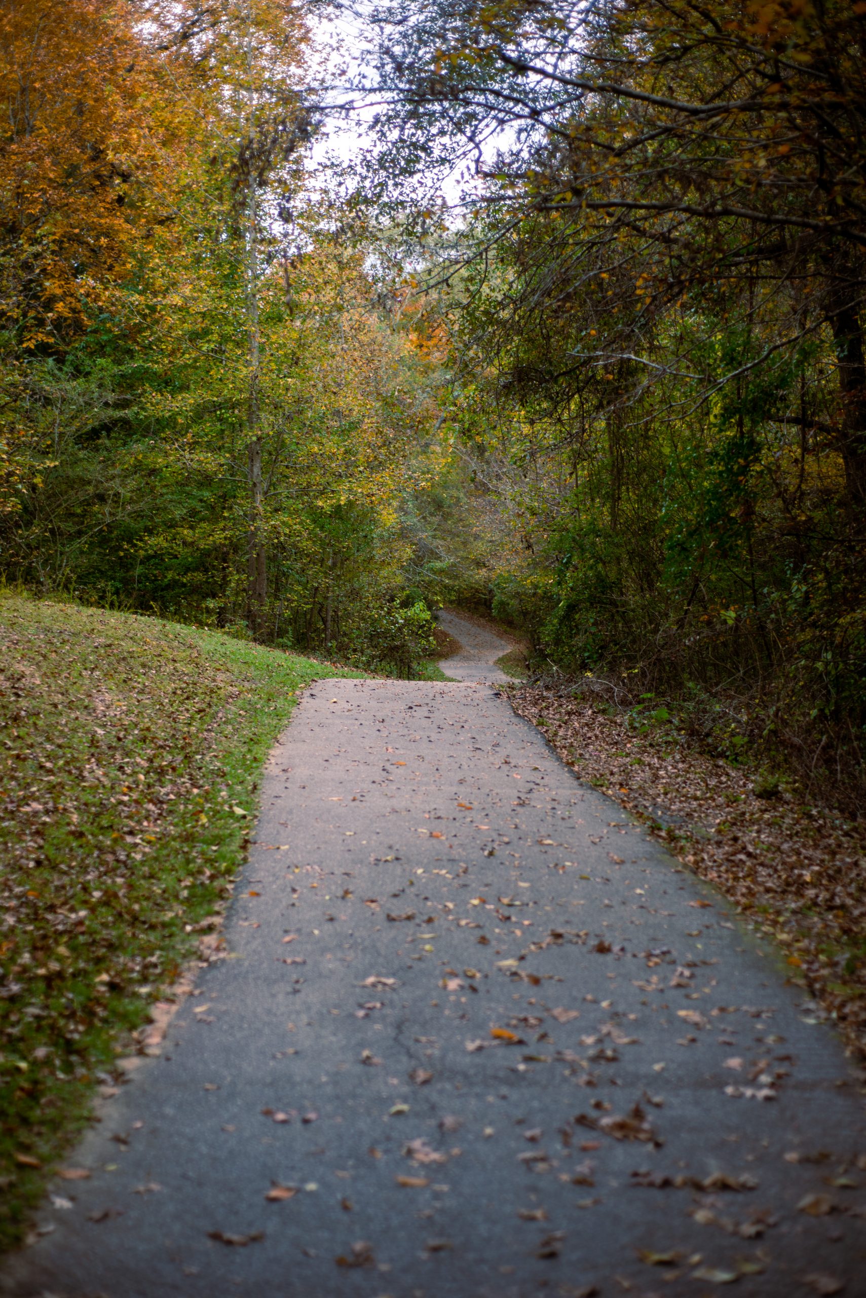Photojournalism: Grovetown Trails Park - The Augusta Press