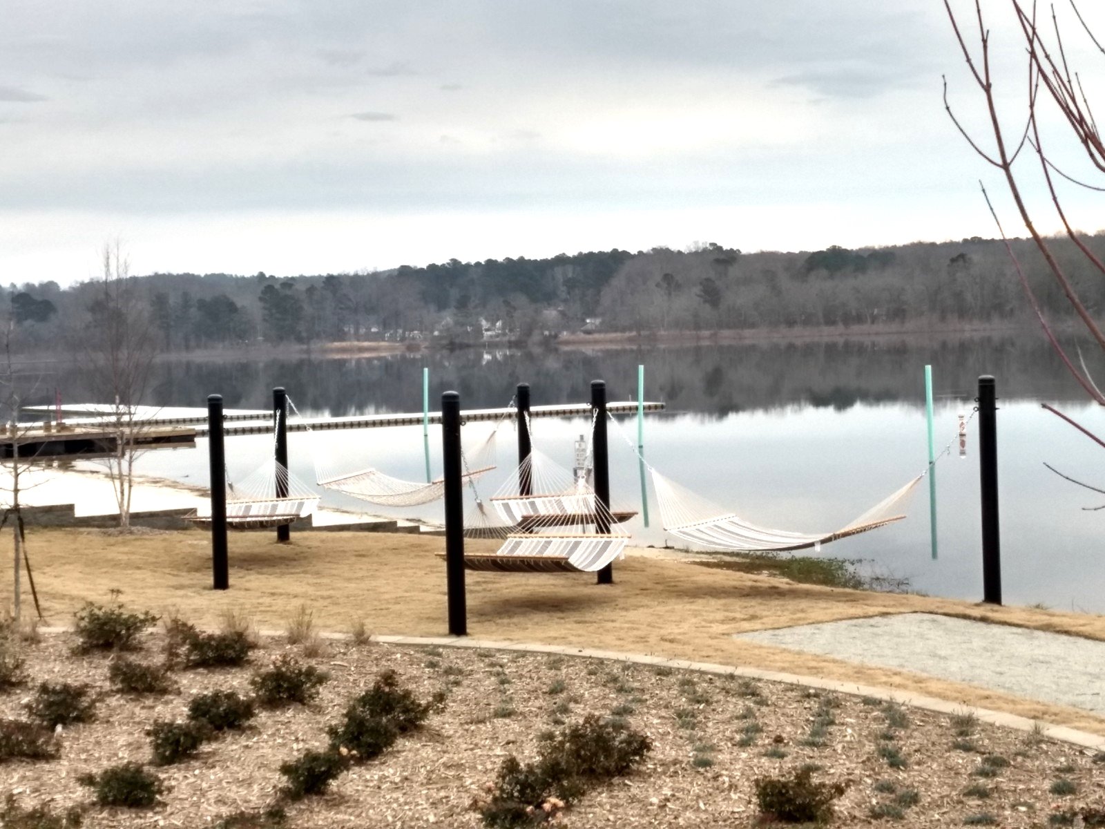 Rowing heading back to reopened Langley Pond - The Augusta Press