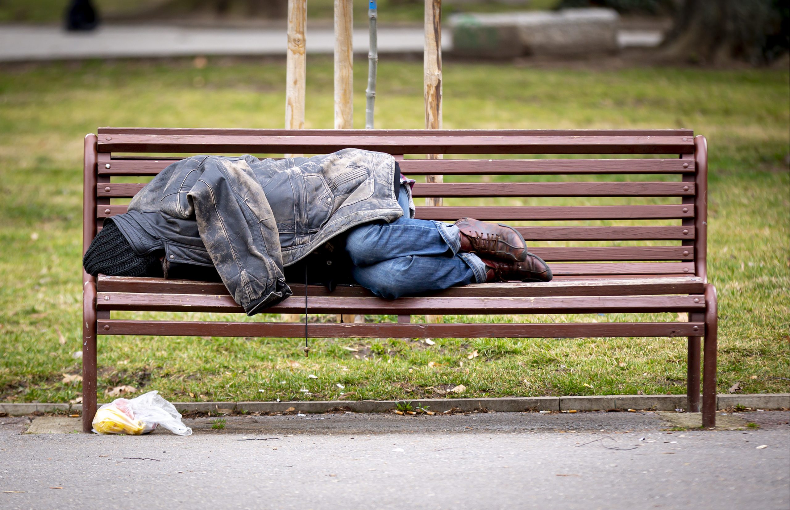 Moving forward with the strategic plan to combat homelessness - The ...
