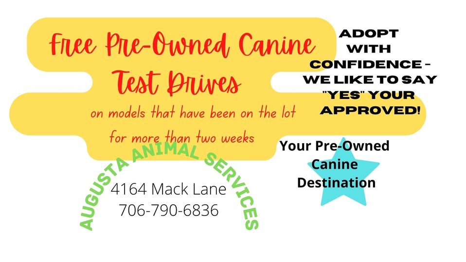 Overflowing animal facilities hope to “Clear the Shelter” - The Augusta ...