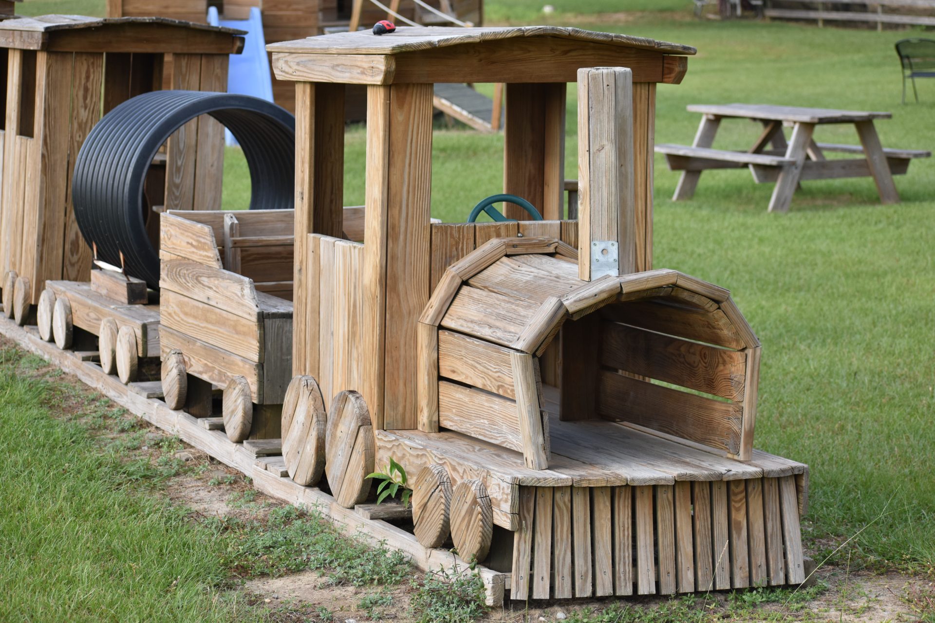 Steed's Dairy Farm celebrates opening weekend by unveiling new corn ...