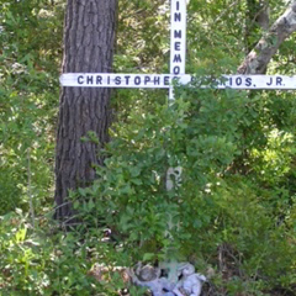 Golden Isles Injustice: Incredible witnesses testified in 2007 ...