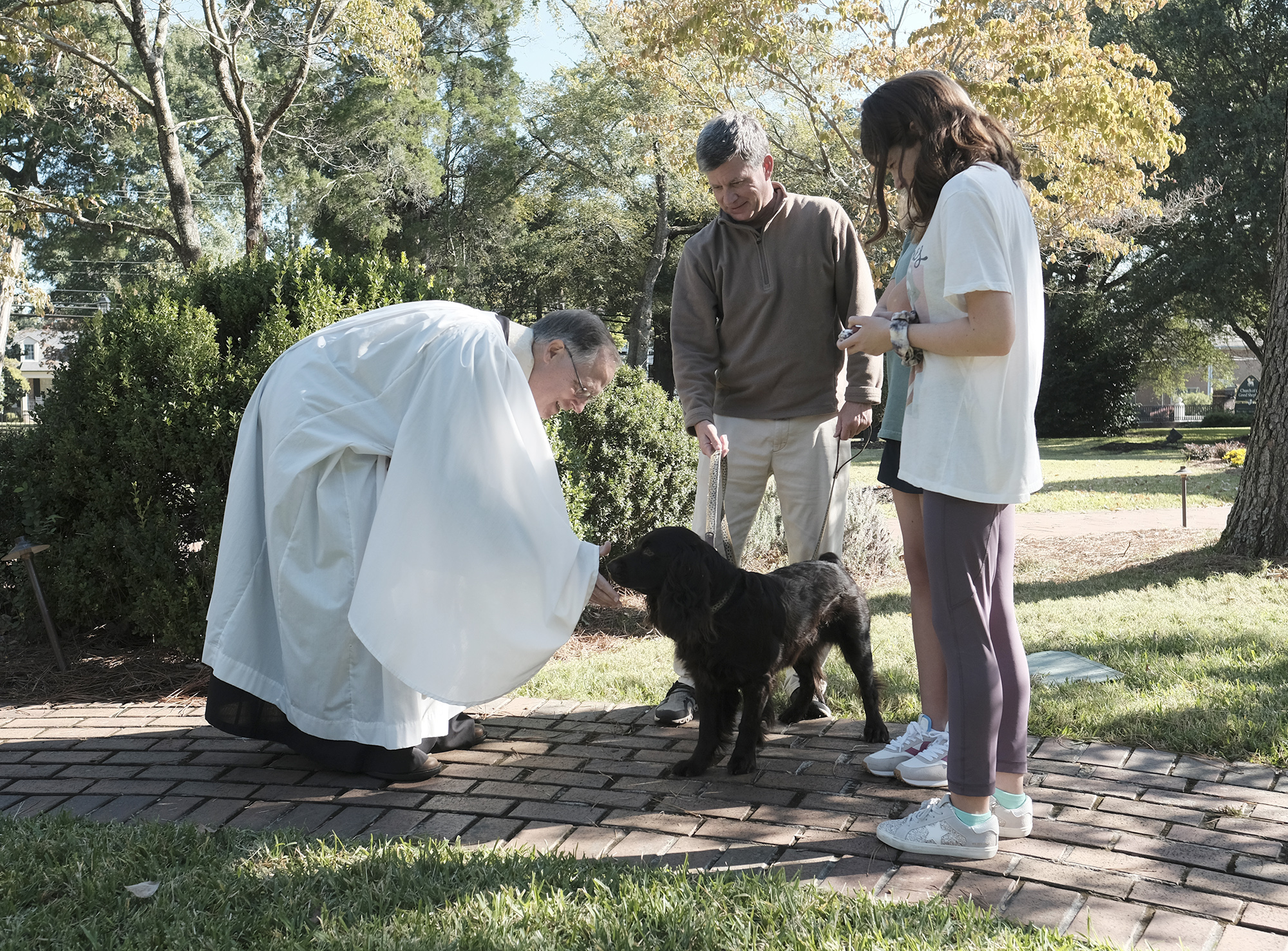 Photojournalism: Blessing of the Beasts - The Augusta Press