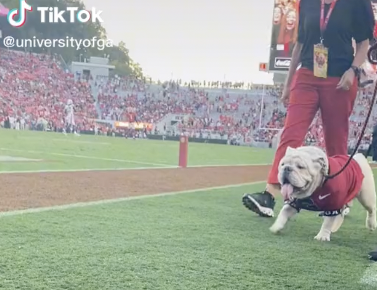 Kemp bans TikTok on state-owned devices - The Augusta Press