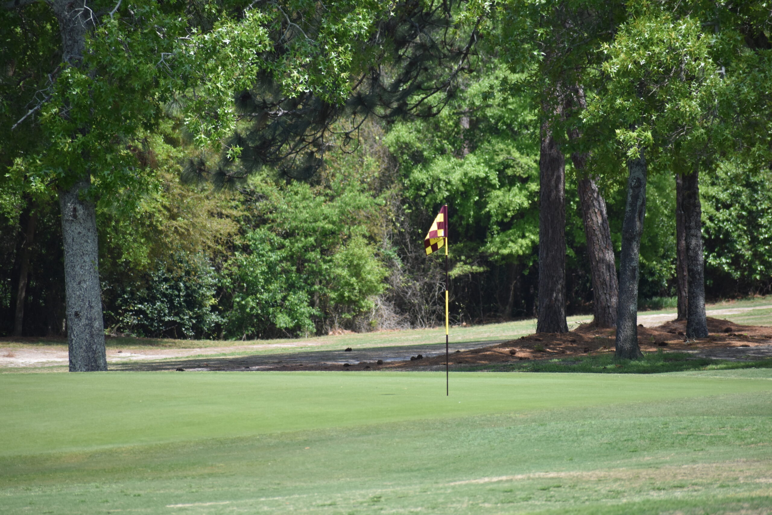 The Patch - First Tee of Augusta - The Augusta Press