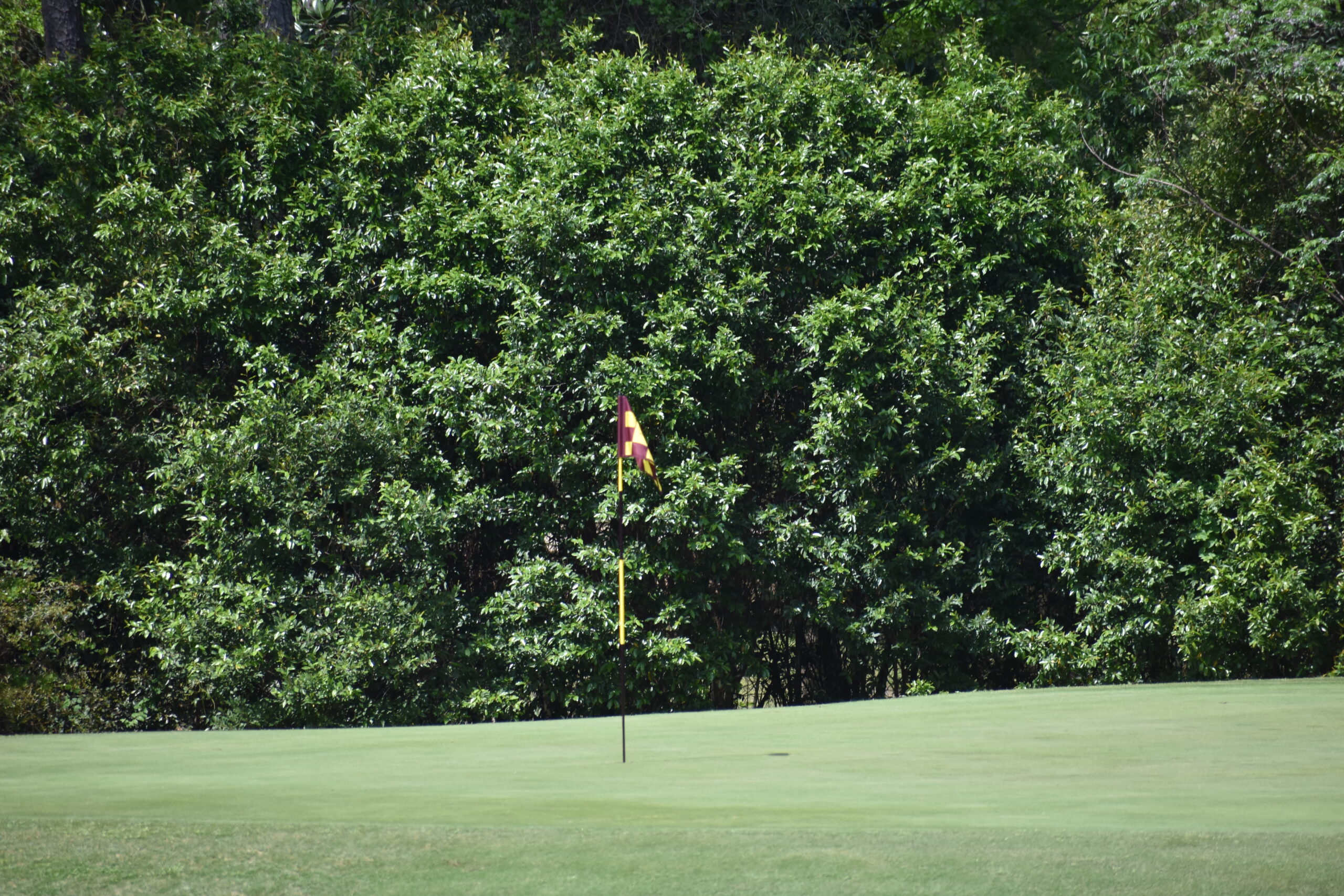 The Patch - First Tee of Augusta - The Augusta Press
