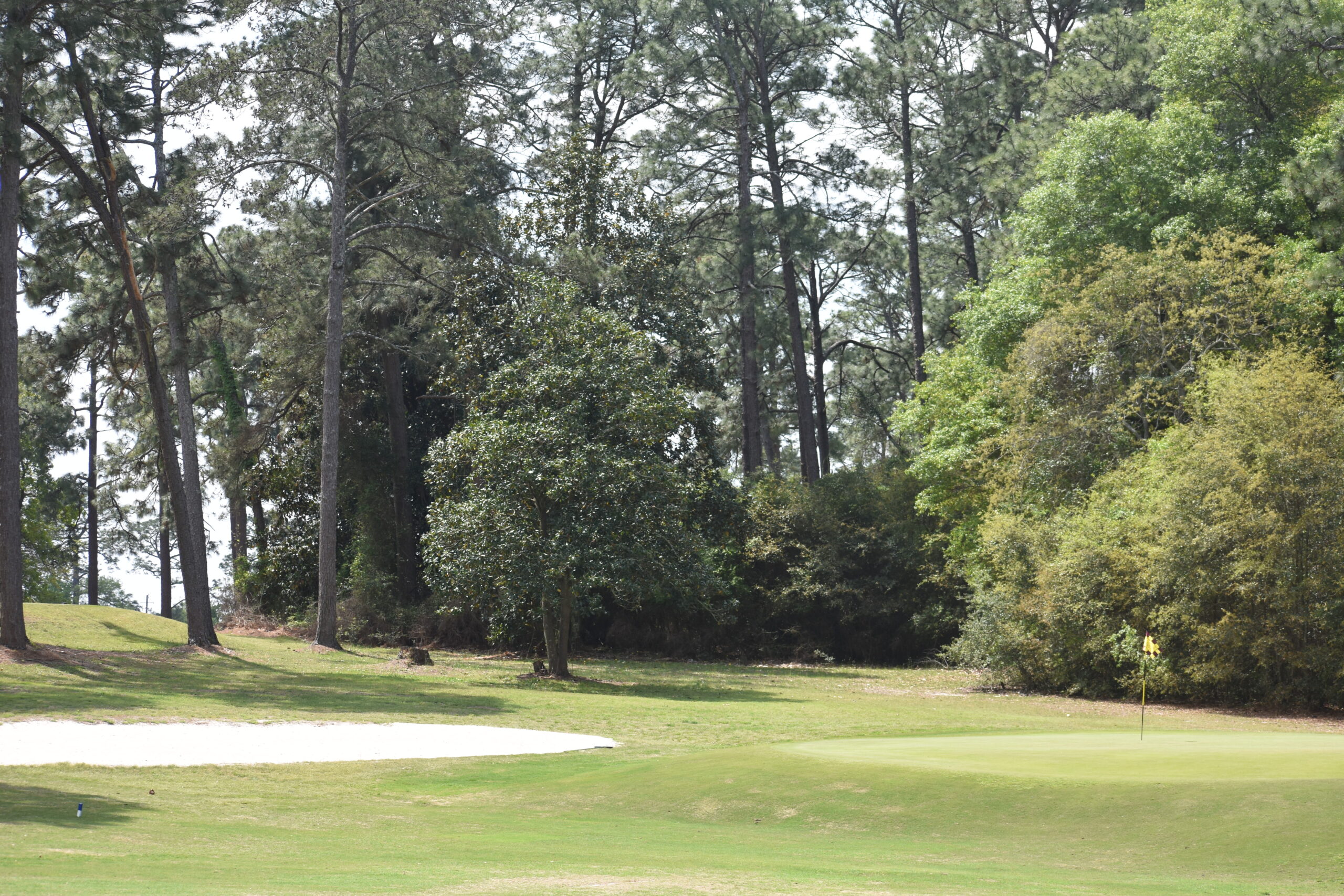 The Patch - First Tee of Augusta - The Augusta Press